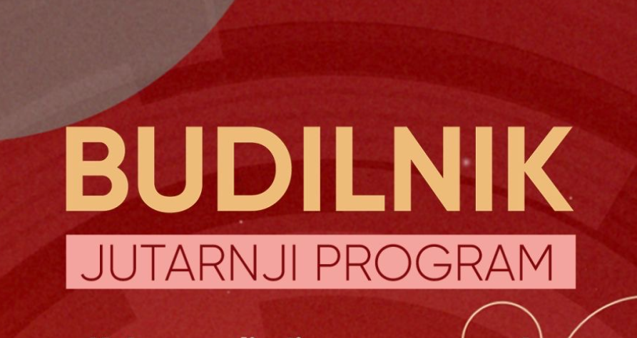 Budilnik vikendom: Društvo, ekonomija i mediji između tradicije i novih ...